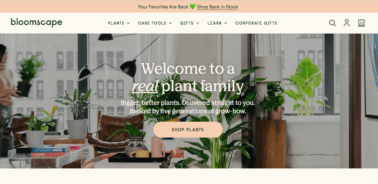 10 Best Blog Layouts & Best Practices You Should Be Applying Now - XYZ Advantage